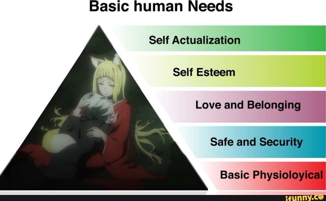 Basic human Needs Self Actualization Self Esteem Love and Belonging ...
