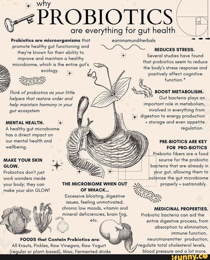 Probiotic memes. Best Collection of funny Probiotic pictures on iFunny