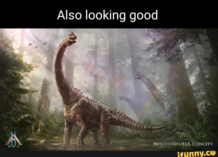 Brachiosaurus memes. Best Collection of funny Brachiosaurus pictures on ...