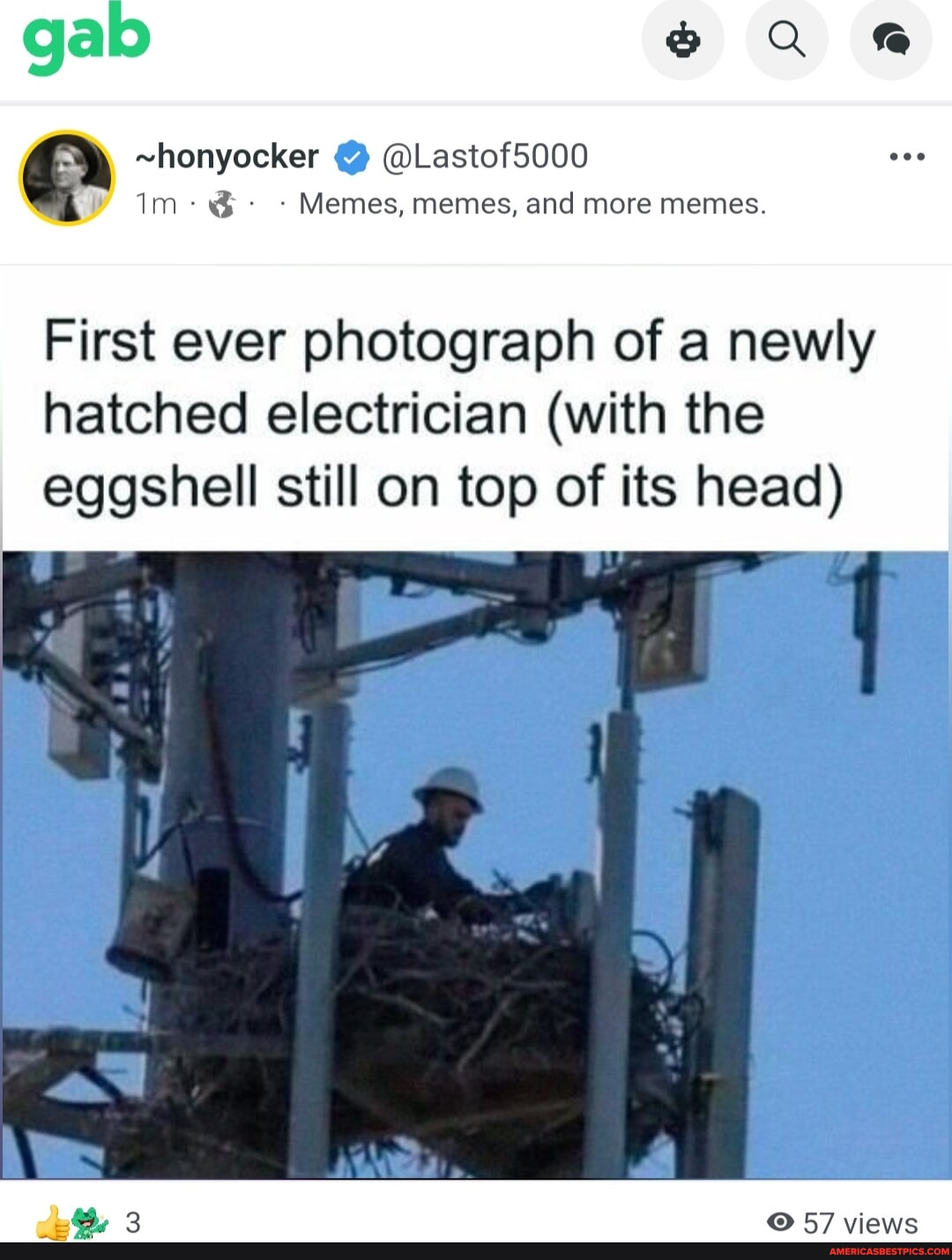 Gab ~honyocker @Lastof5000 Memes, memes, and more memes. First ever ...