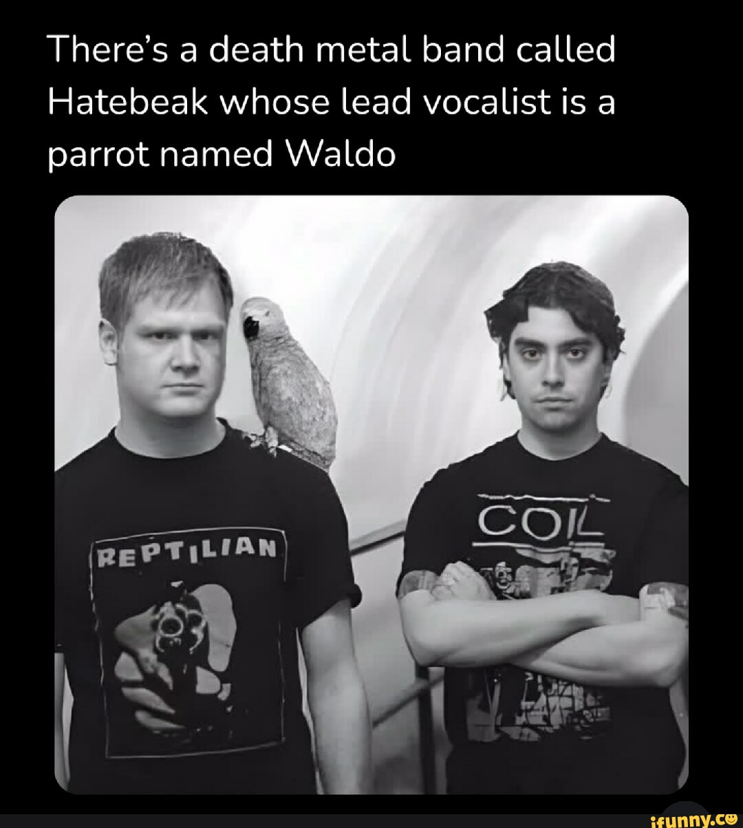 There's a death metal band called Hatebeak whose lead vocalist is a ...
