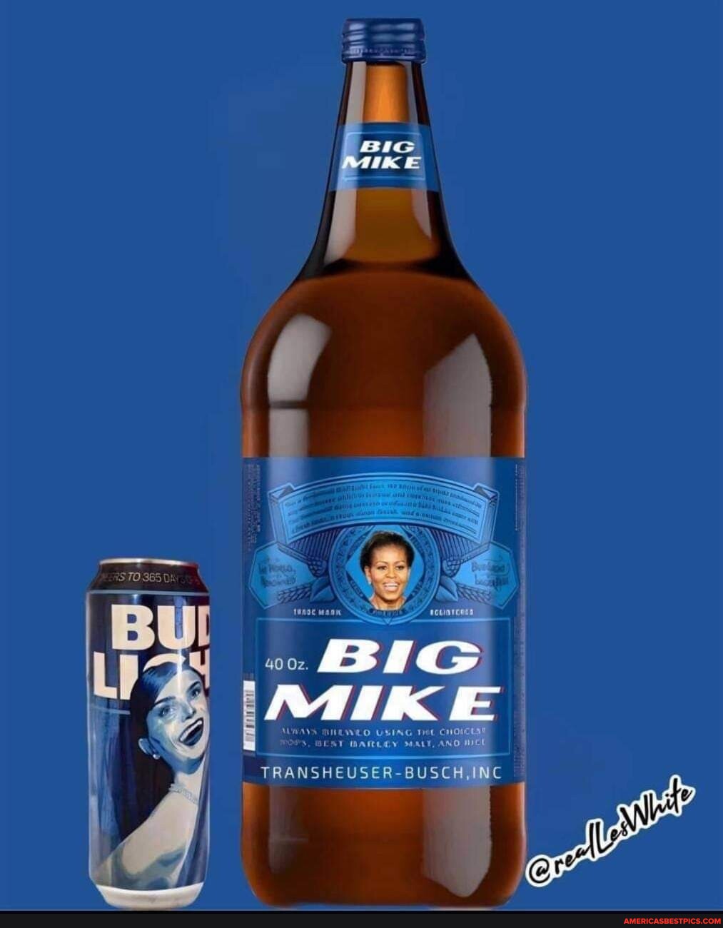 Busch memes. Best Collection of funny Busch pictures on America’s best ...