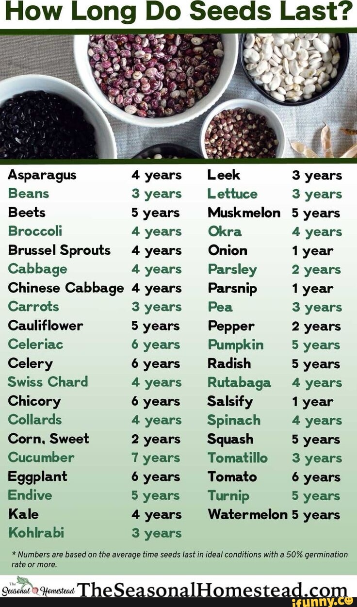 Sprouts memes. Best Collection of funny Sprouts pictures on iFunny