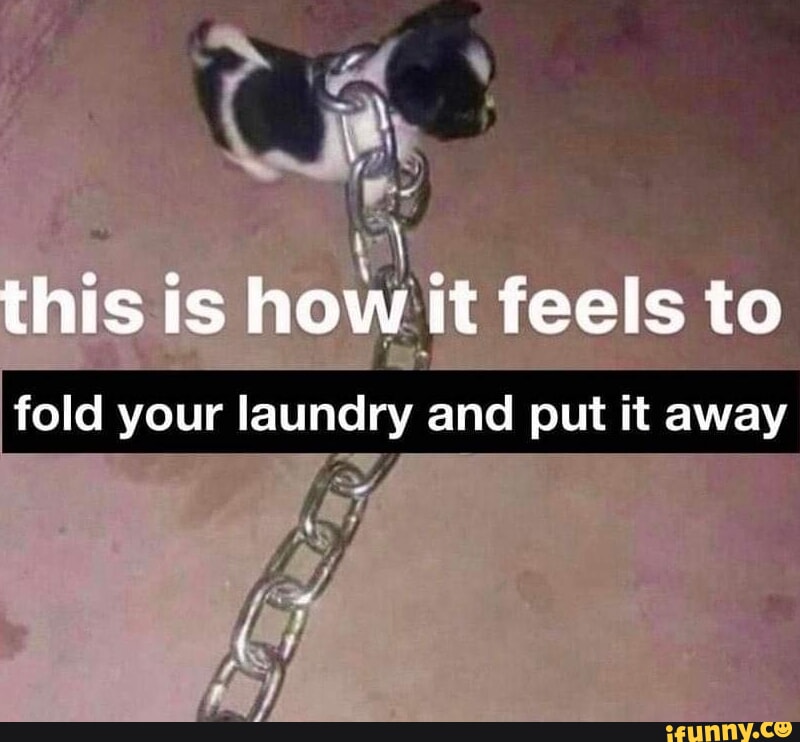 This is how it feels to fold your laundry and put it away - iFunny