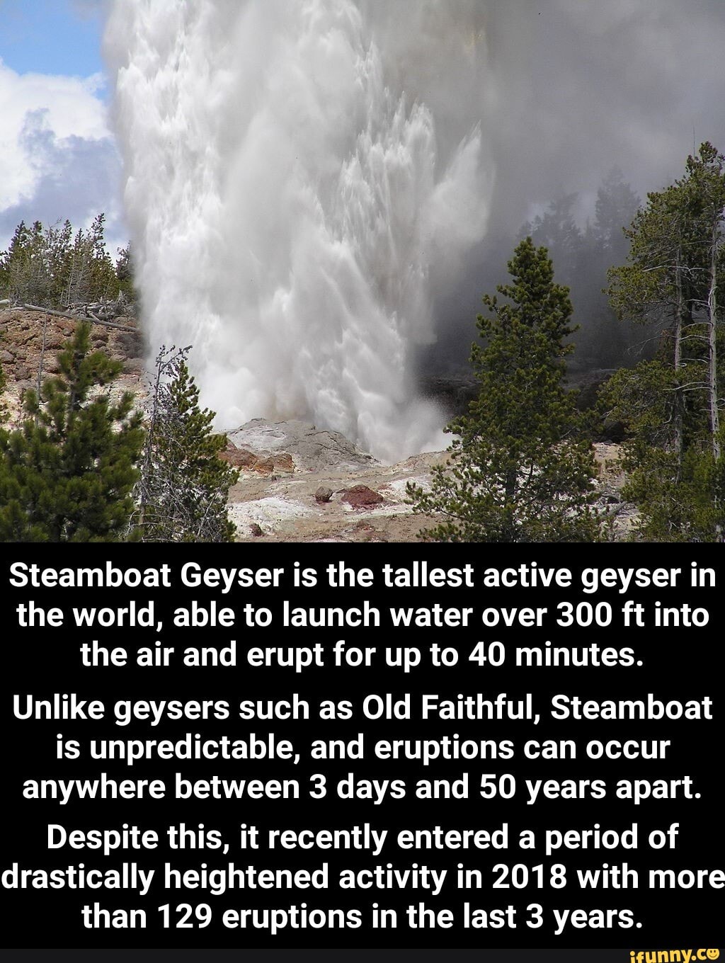 Geyserposting memes. Best Collection of funny Geyserposting pictures on ...