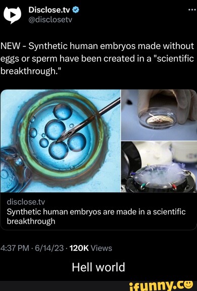 Disclose.ty NEW - Synthetic human embryos made without eggs or sperm ...