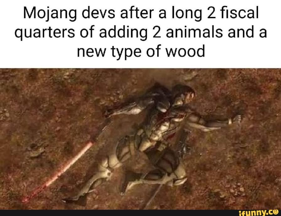 Mojang devs after a long 2 fiscal quarters of adding 2 animals and a ...