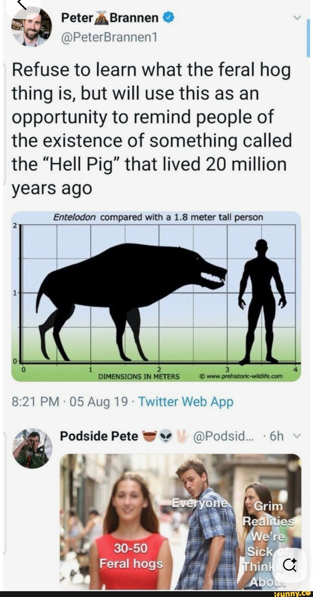 Peter gBrannen @ PeterBrannen1 Refuse to learn what the feral hog thing ...