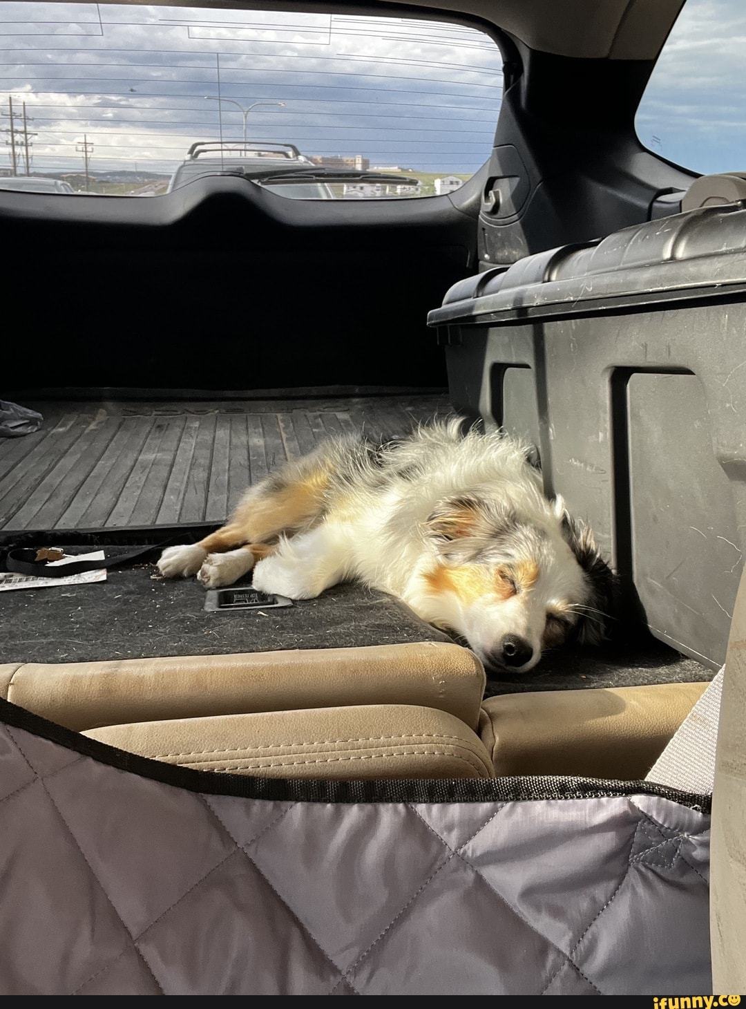 Seco memes. Best Collection of funny Seco pictures on iFunny