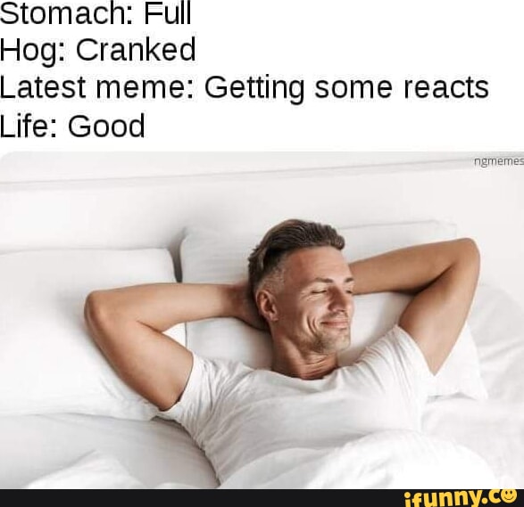 Stomacn: Full Hog: Cranked Latest meme: Getting some reacts Life: Good ...