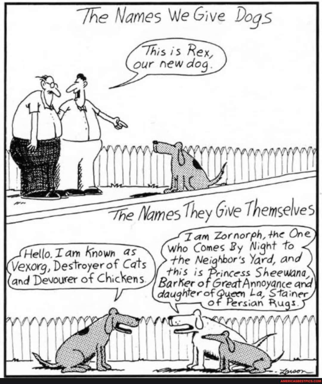 The Names We Give Dogs This is Rex, our new dog They Give Tam Zornorph ...