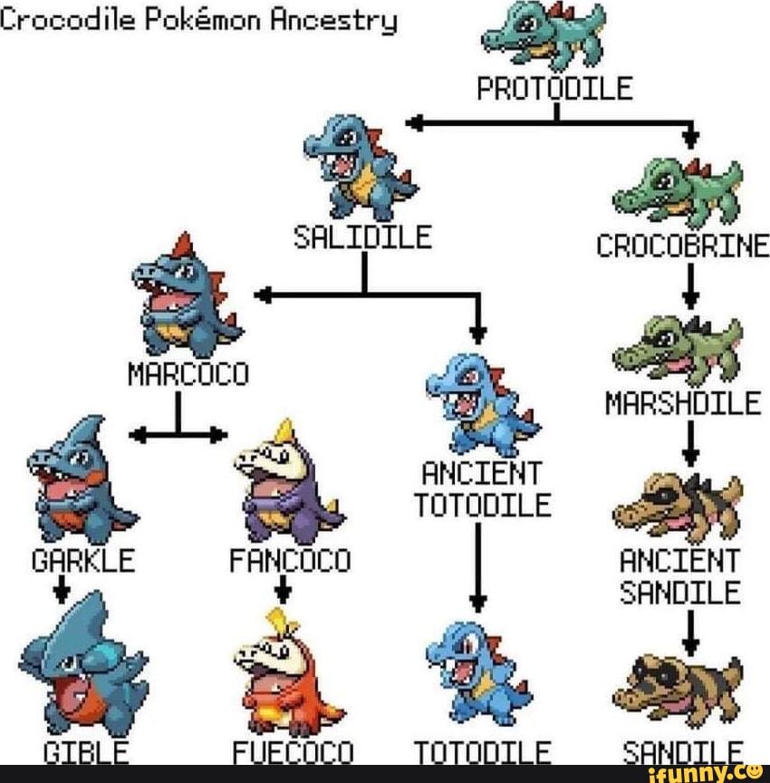 Sandile Evolution