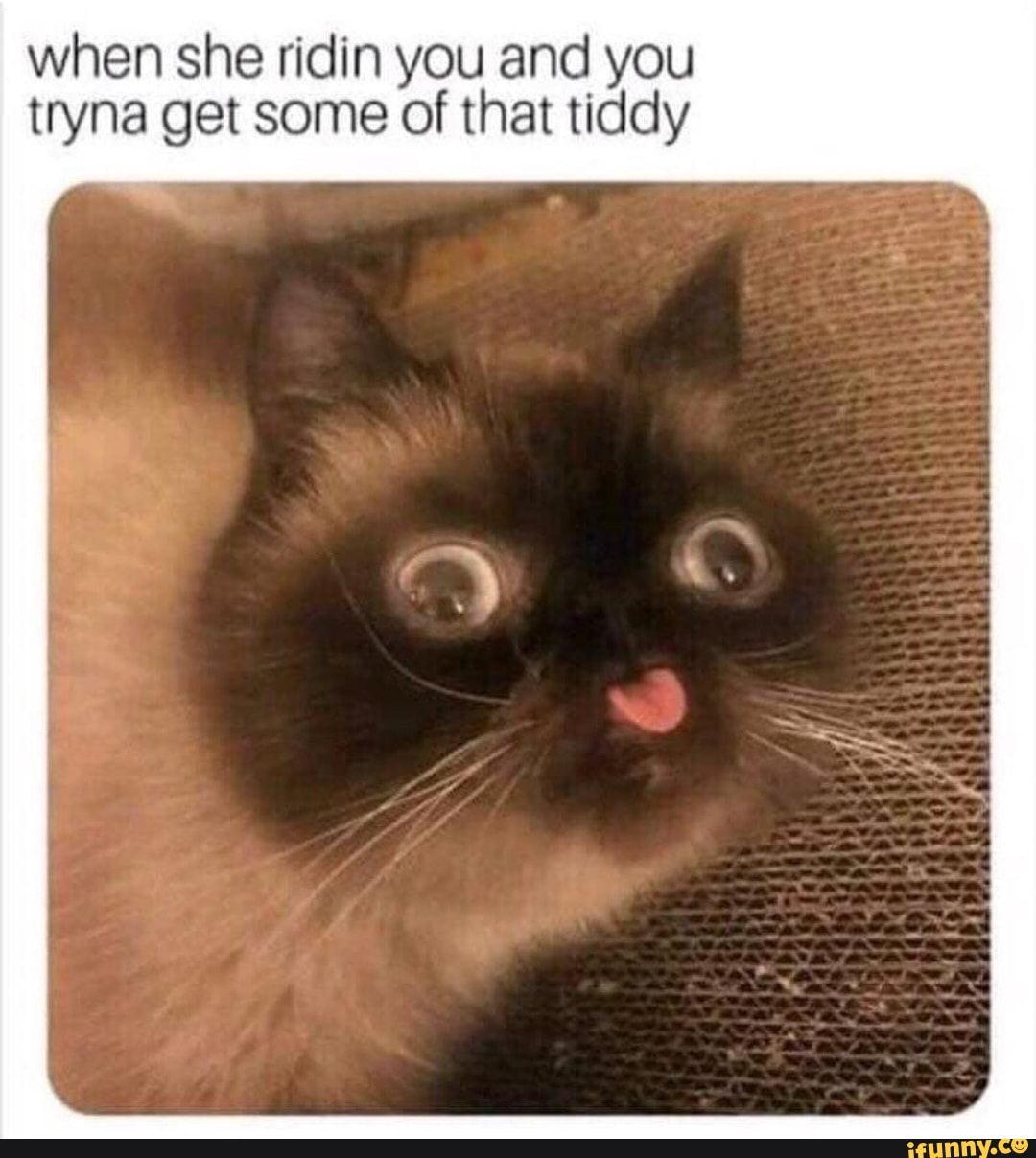 When she ridin you and you tryna get some of that tiddy - iFunny