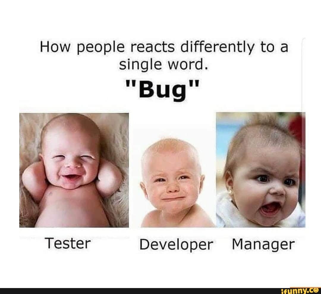 How people reacts differently to a single word. "Bug" Tester Developer ...