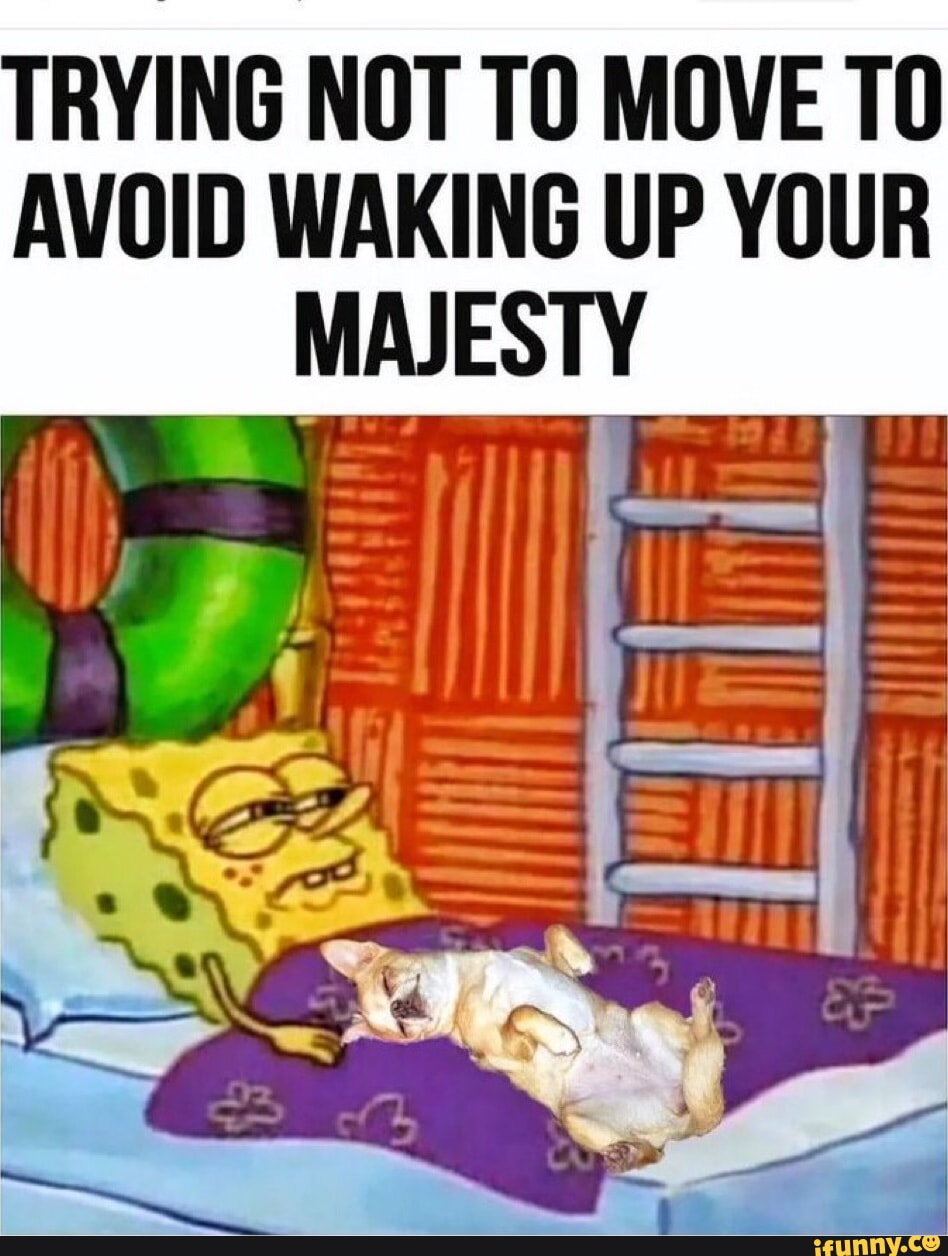 When you're on deployment and your wife spends $50 at CVS at lam - iFunny