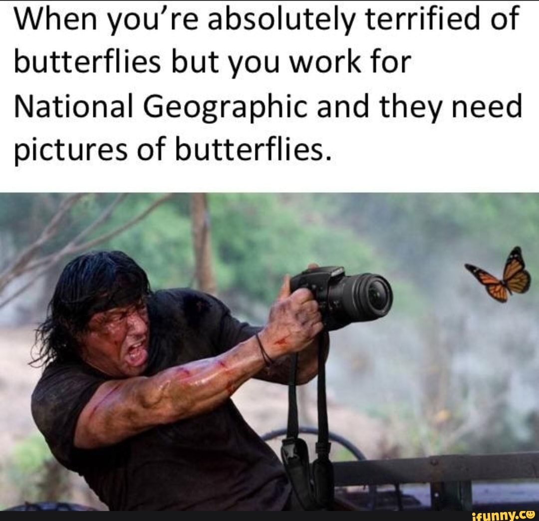When you’re absolutely terrified of butterflies but you work for ...