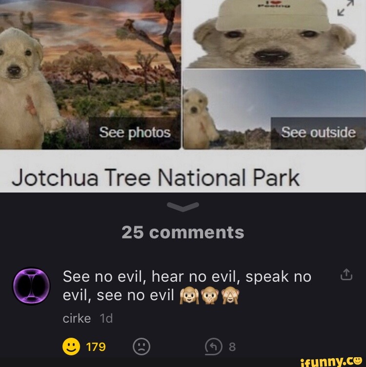 Jotchua memes. Best Collection of funny Jotchua pictures on iFunny