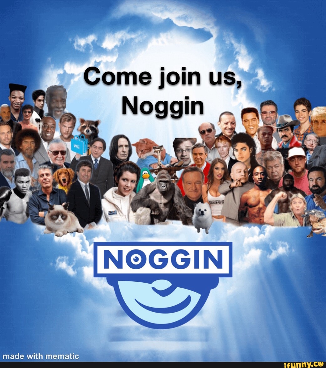 Noggin memes. Best Collection of funny Noggin pictures on iFunny