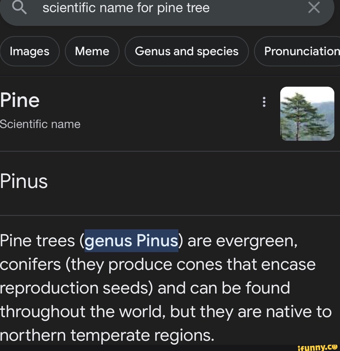 Conifers memes. Best Collection of funny Conifers pictures on iFunny