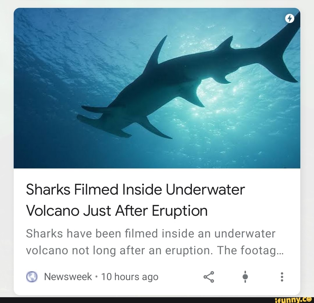 Sharks Filmed Inside Underwater Volcano Just After Eruption Sharks have ...