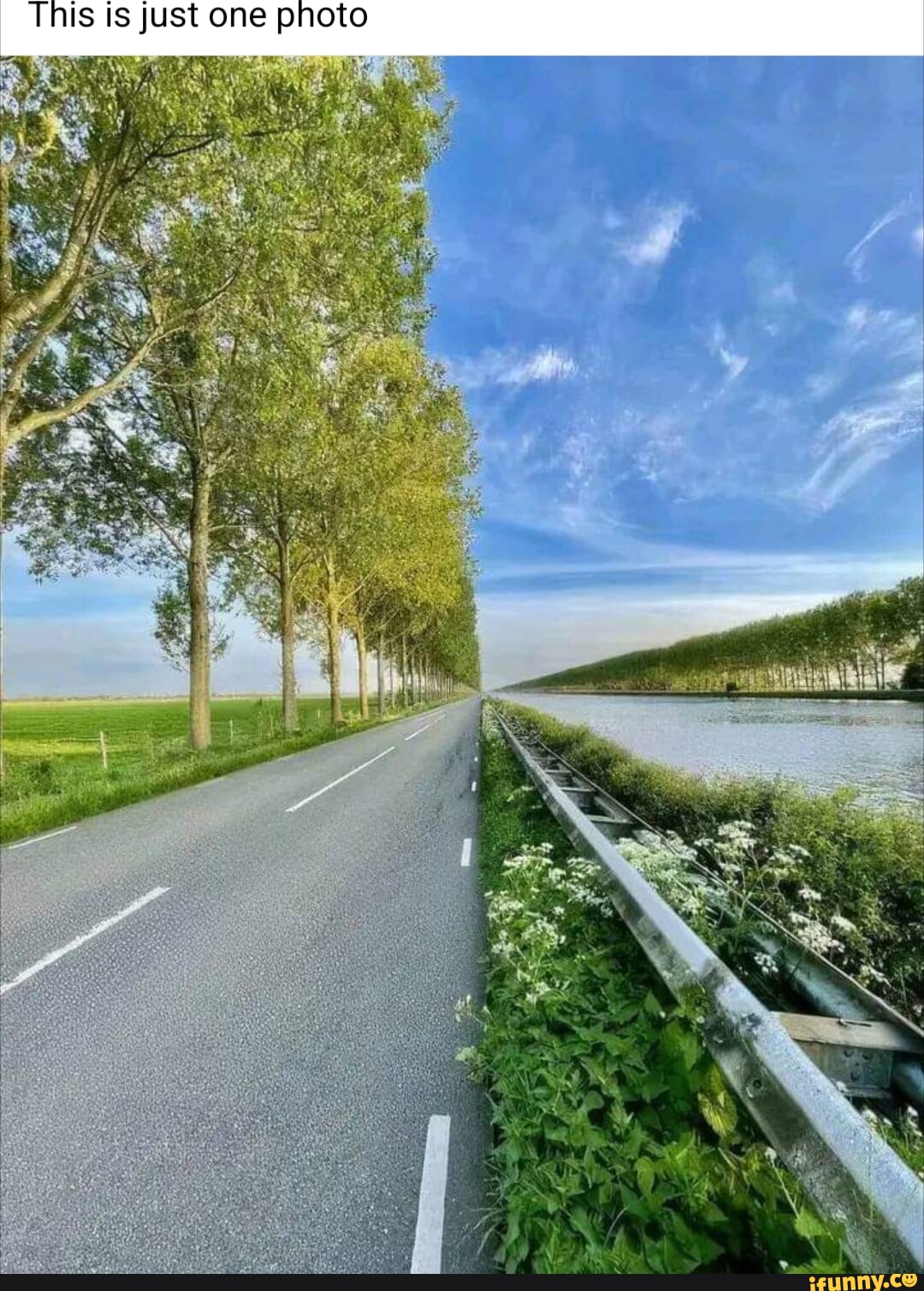 ATF Gun Classification Made Easy! Rifle" Even though it has a foregrip ...