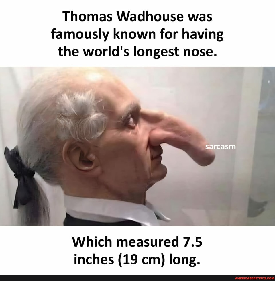 Meet the real-life Pinocchio: With 19 cm, this 18th-century man had the ...