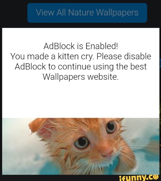 AdBlock is Enabled! You made a kitten cry. Please disable AdBlock to ...