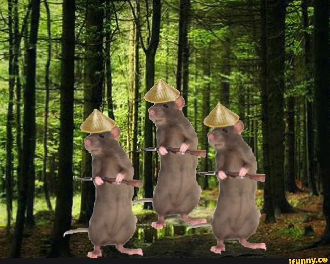 Picture memes 5vgIM5sd9 by DOTFOODS - iFunny