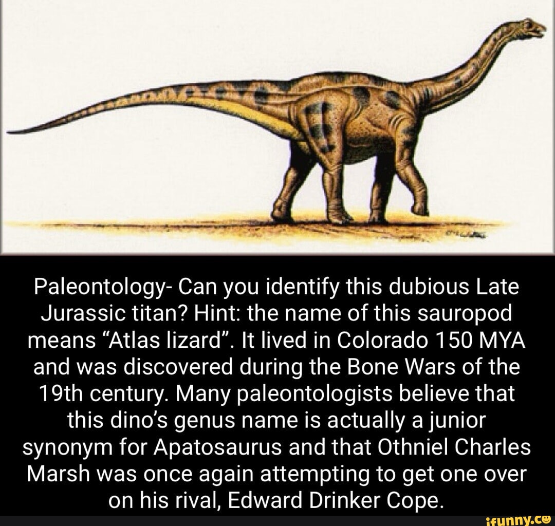 Paleontology- Can you identify this dubious Late Jurassic titan? Hint ...