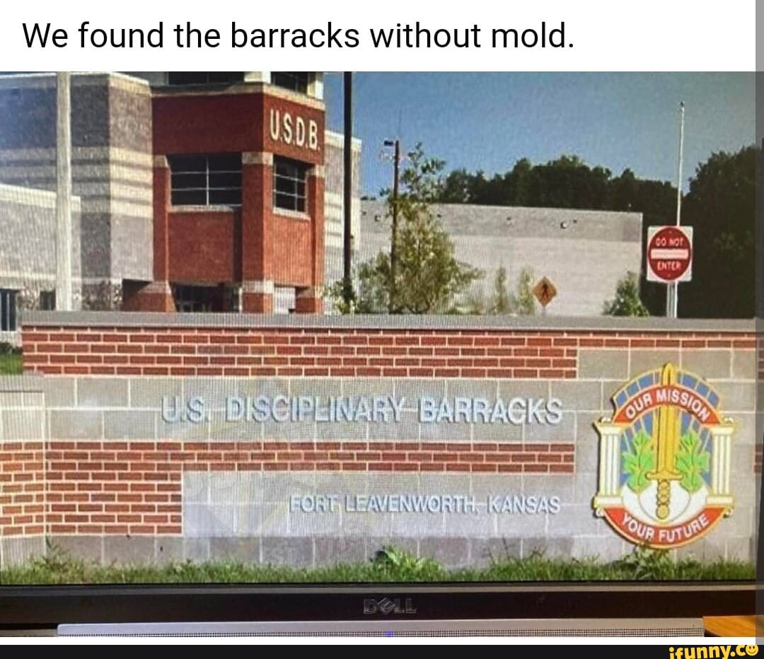 Scala memes. Best Collection of funny Scala pictures on iFunny