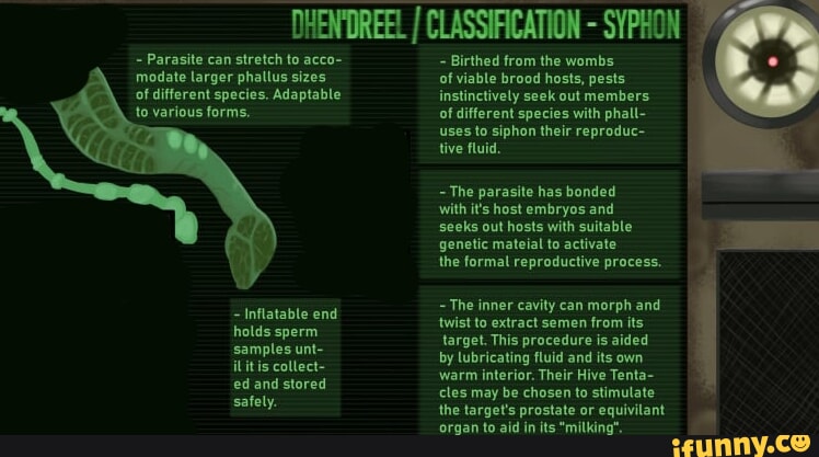 Classification memes. Best Collection of funny Classification pictures ...