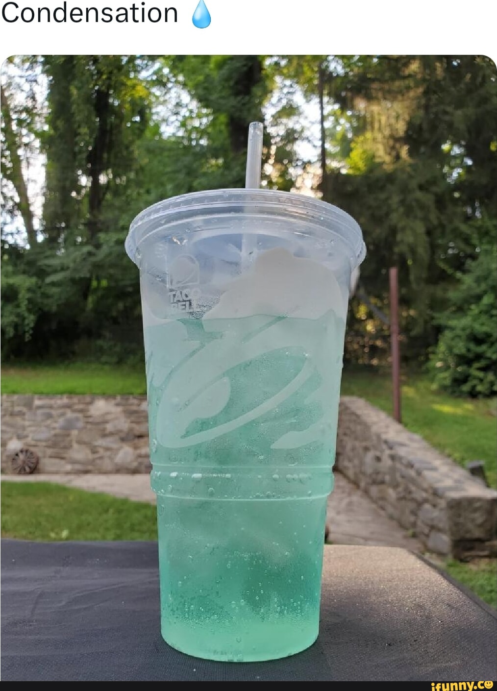 Condensation memes. Best Collection of funny Condensation pictures on ...