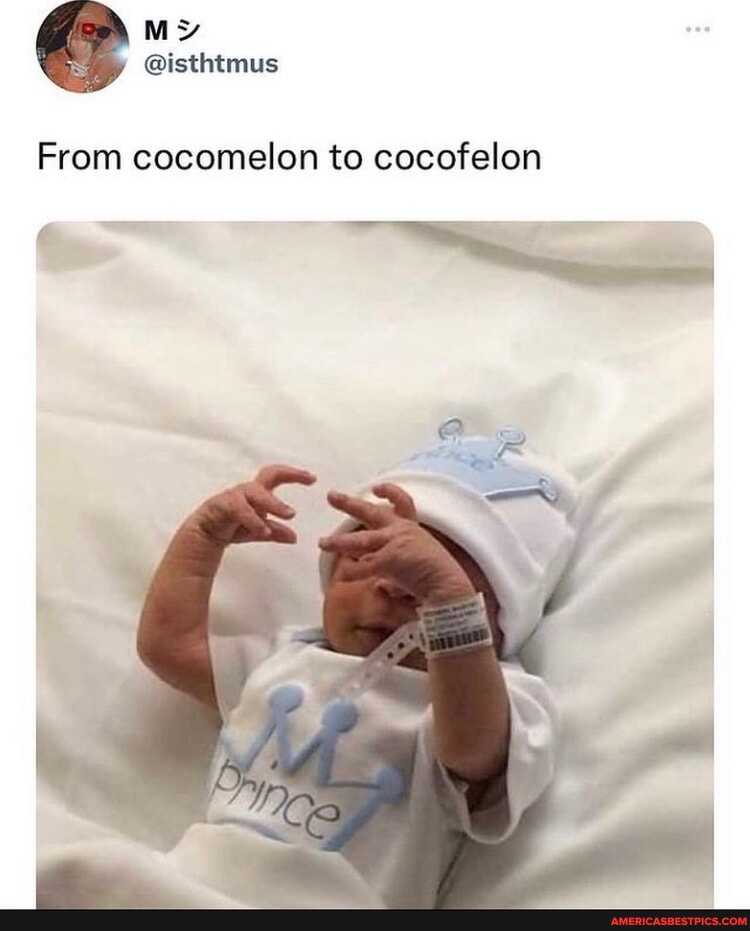 From cocomelon to cocofelon - America’s best pics and videos
