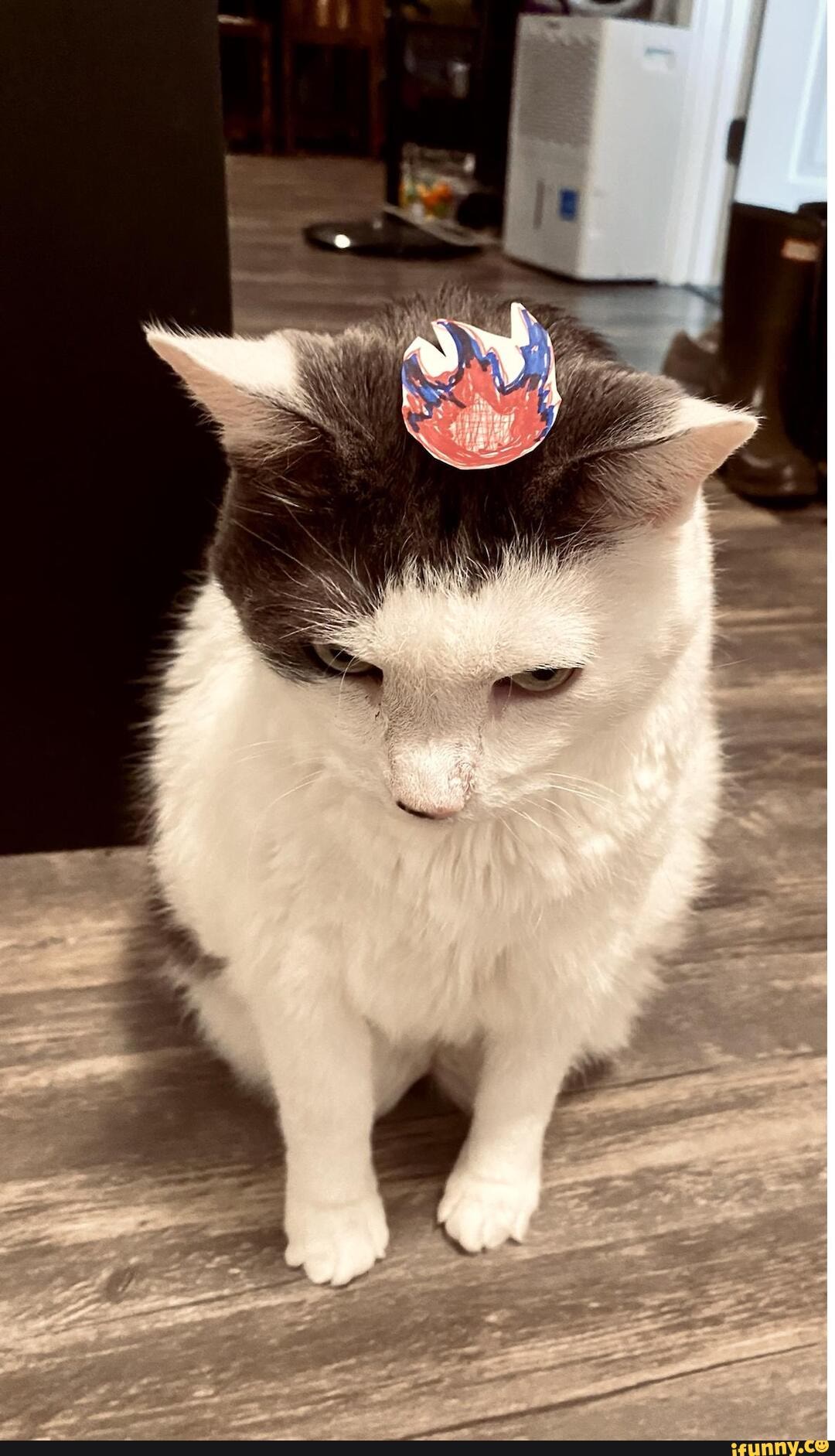 Art_commission memes. Best Collection of funny Art_commission pictures ...