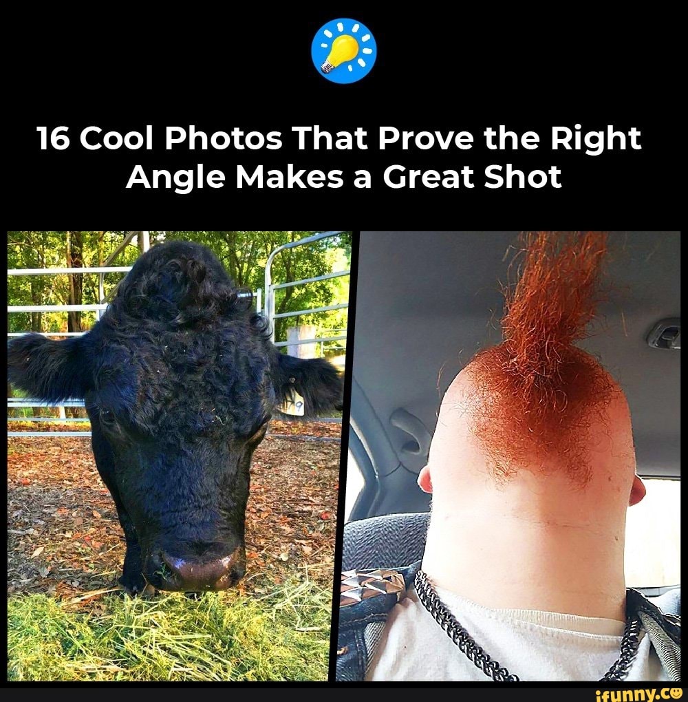 16 Cool Photos That Prove the Right Angle Makes a Great Shot - iFunny
