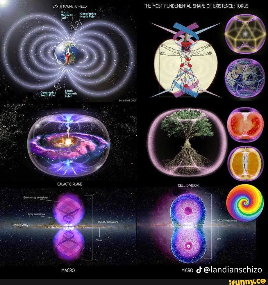 EARTH MAGNETIC FIELD THE MOST FUNDEMENTAL SHAPE OF EXISTENCE; TORUS ...