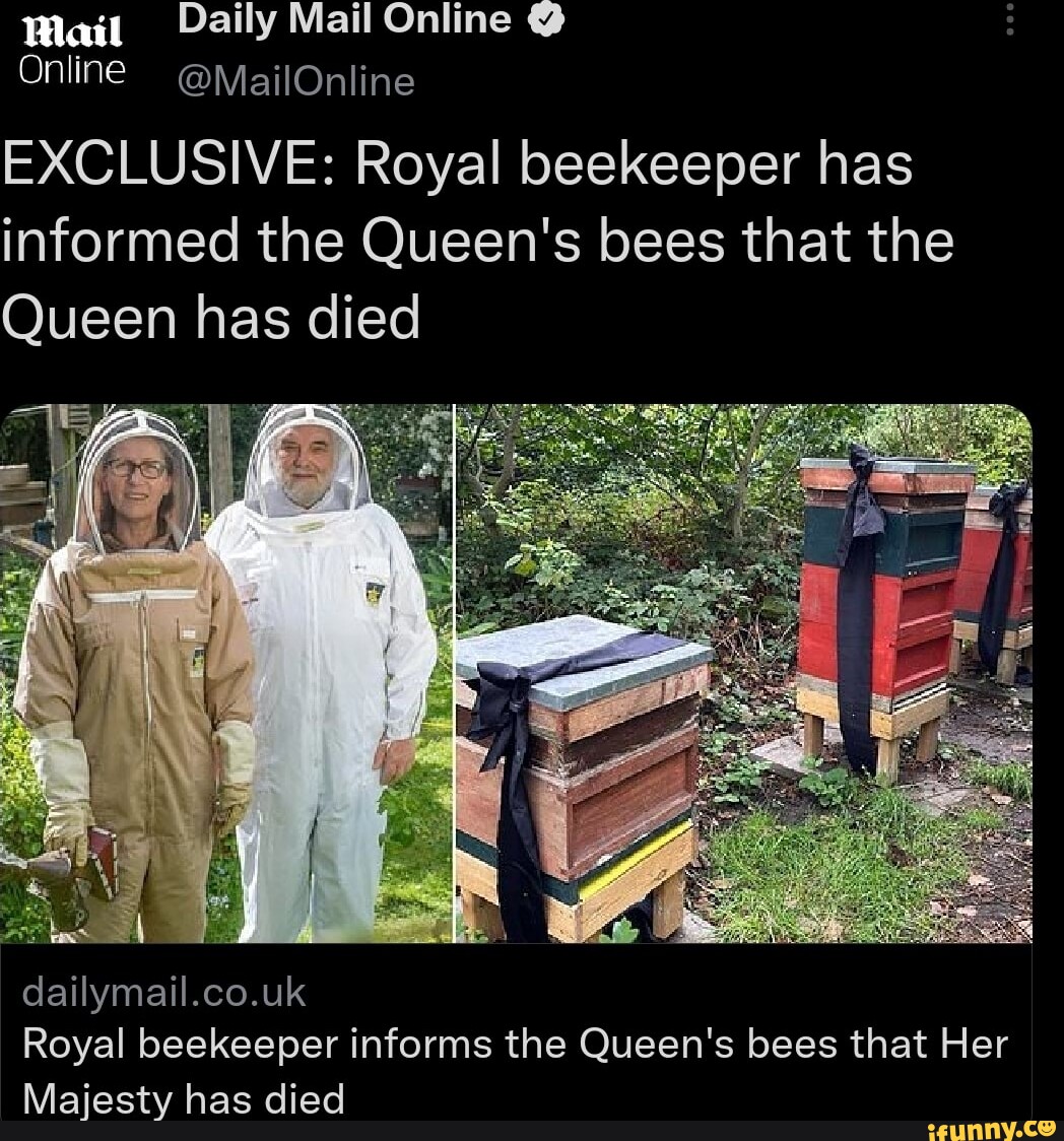 Beekeeper memes. Best Collection of funny Beekeeper pictures on iFunny