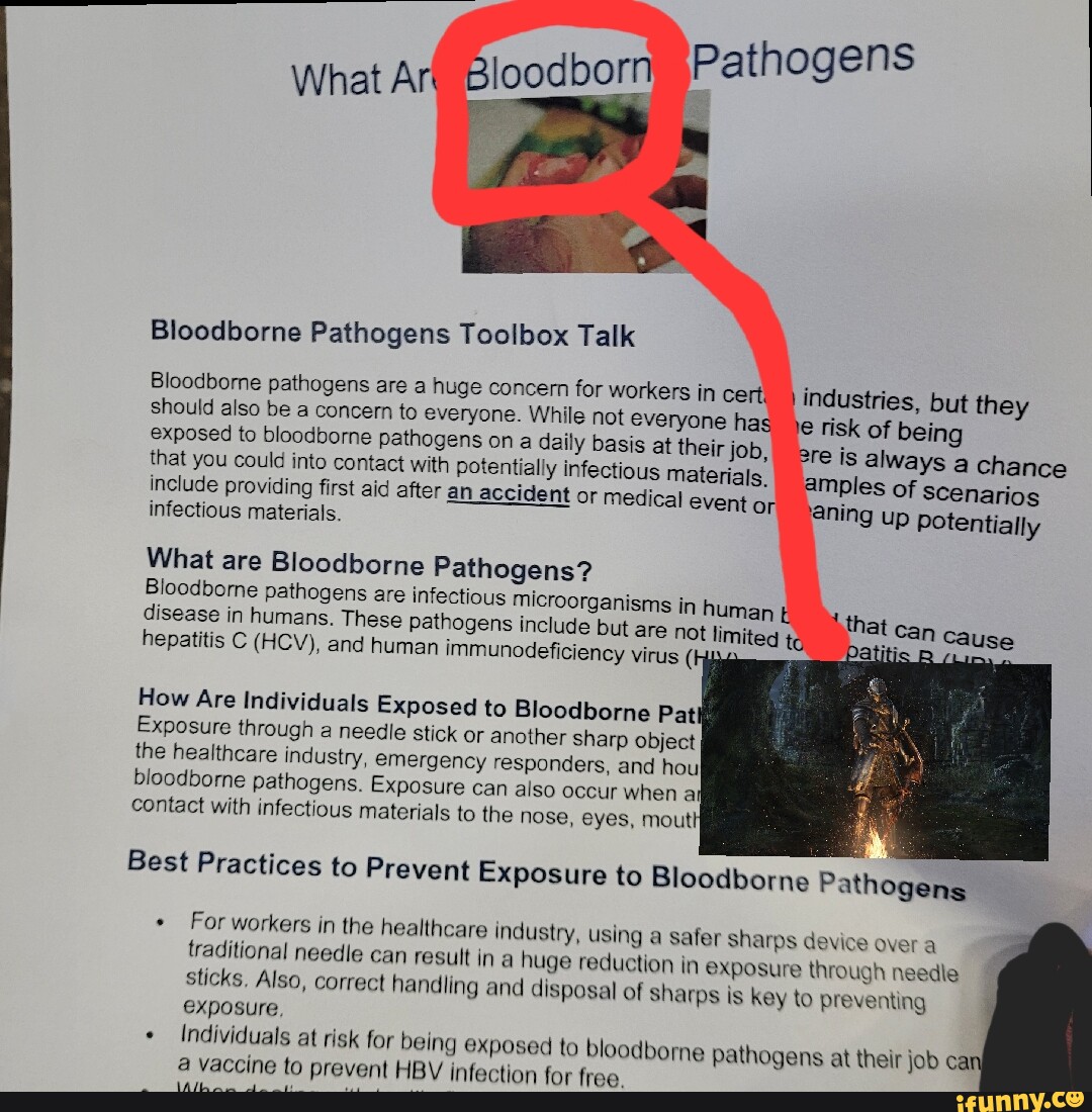 Bloodbor Pathogens Bloodborne Pathogens Toolbox Talk Bloodborne ...