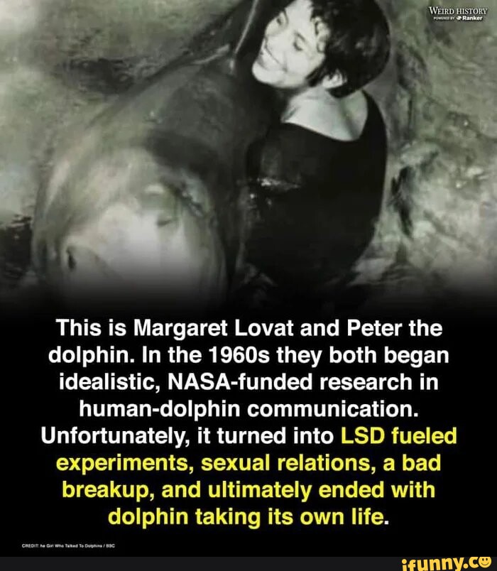 This is Margaret Lovat and Peter the dolphin. In the 1960s they both ...