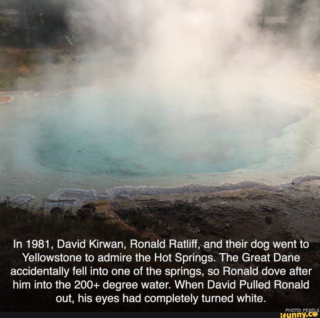 In 1981, David Kirwan, Ronald Ratliff, and their dog went to ...