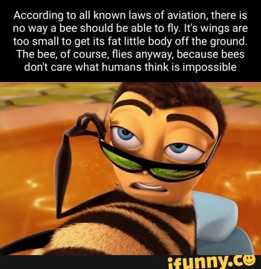 According to all known laws of aviation, there is no way a bee should ...