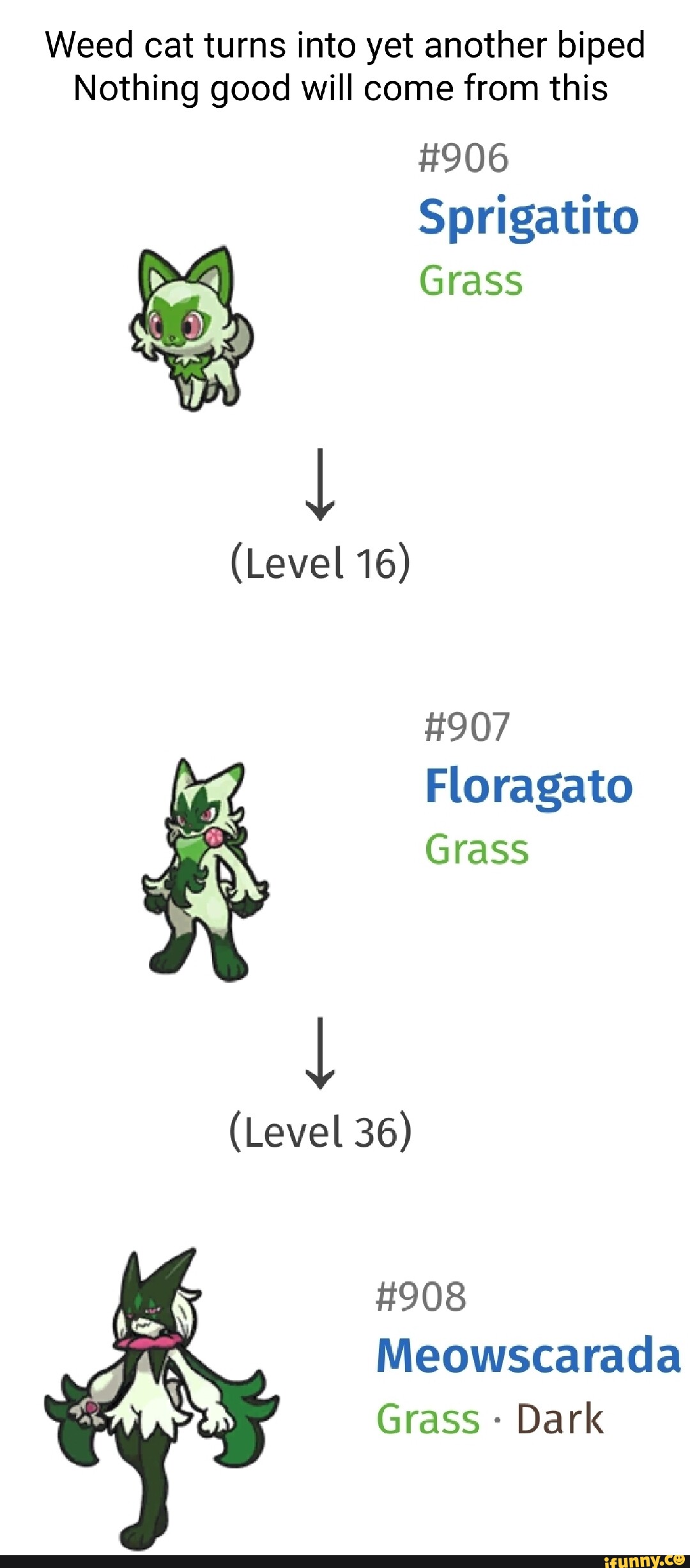 Weed cat turns into yet another biped Nothing good will come from this ...