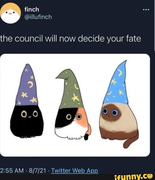 Finch memes. Best Collection of funny Finch pictures on iFunny