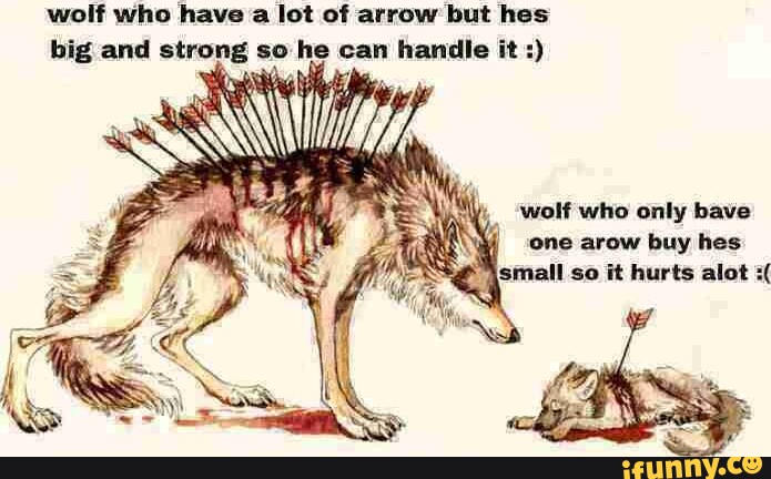 Wolf who have a lot of arrow but hes big and strong so he can handle it ...