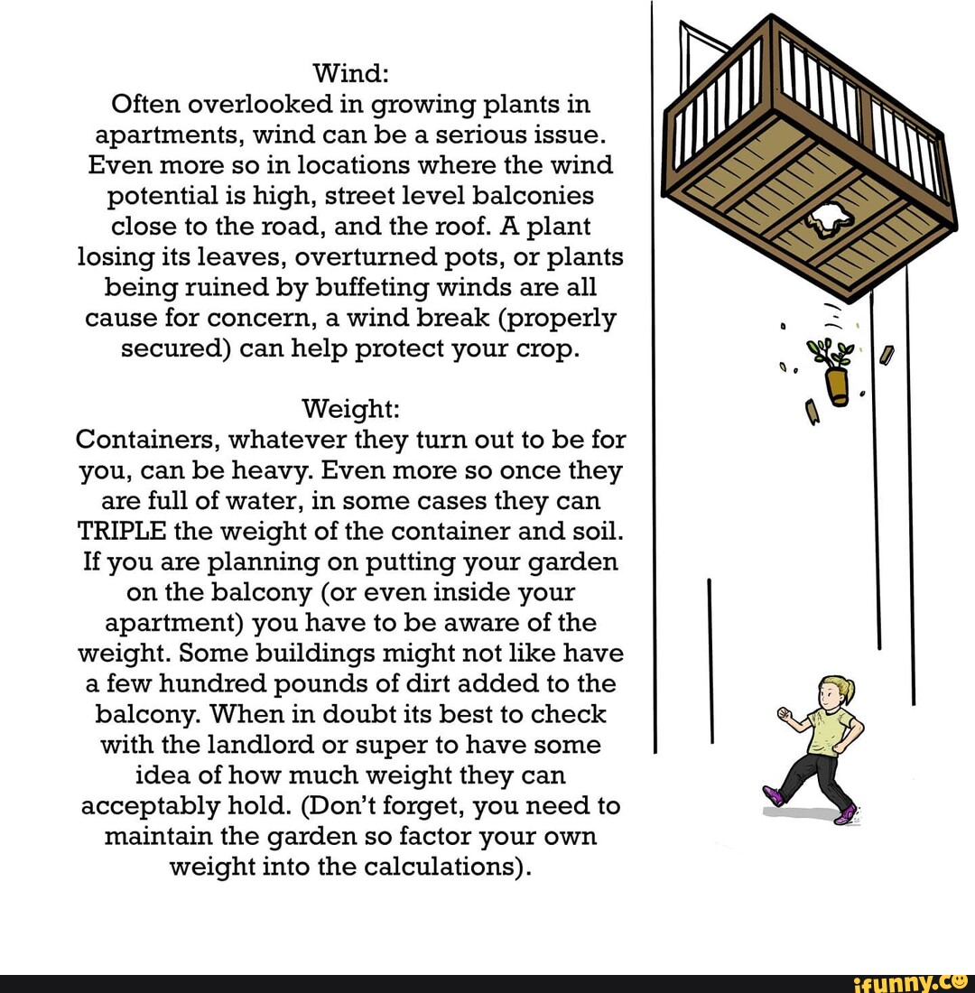 Balconies memes. Best Collection of funny Balconies pictures on iFunny