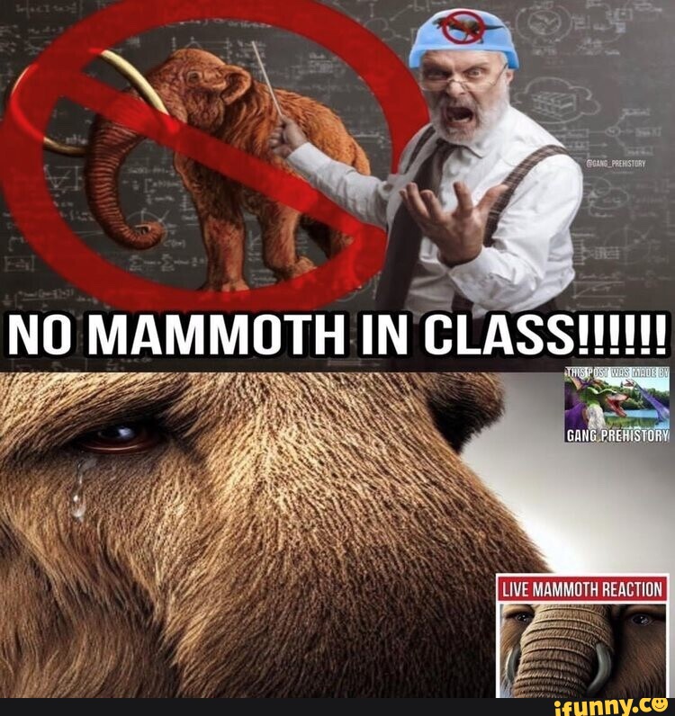 LIVE MAMMOTH REACTION - iFunny