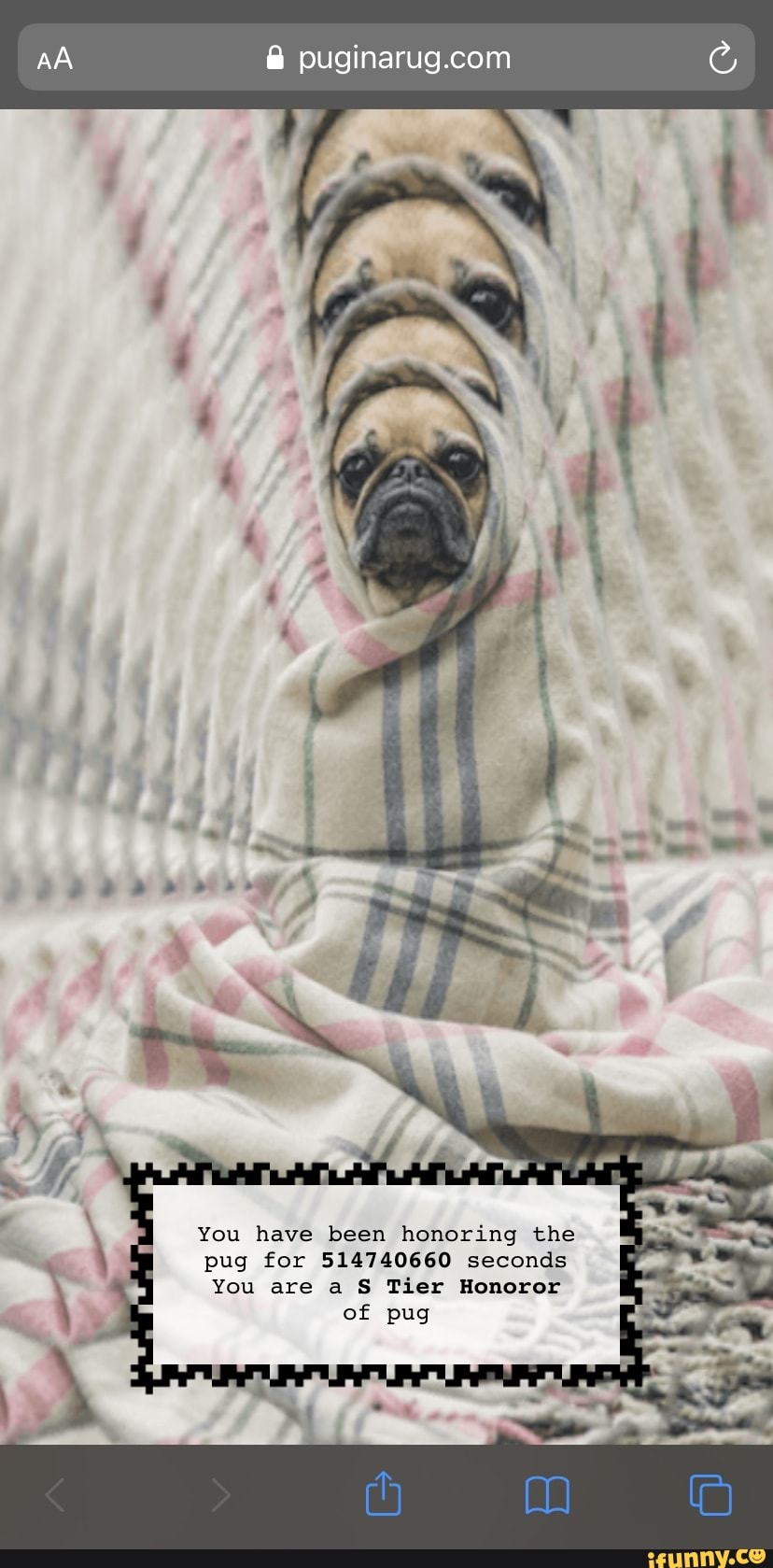 AA You have been honoring the pug for 514740660 seconds You are a Tier ...