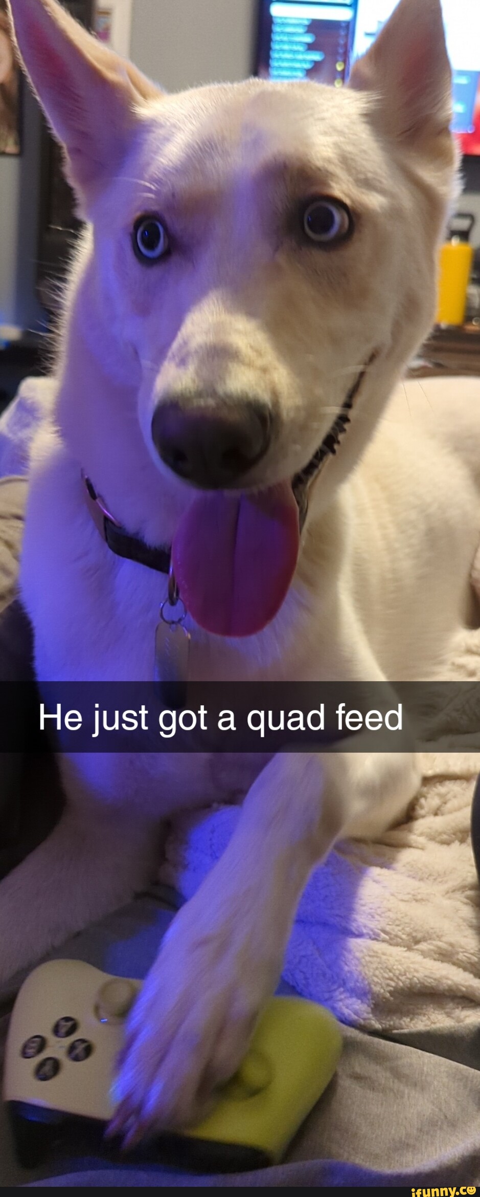 He just got a quad feed - iFunny