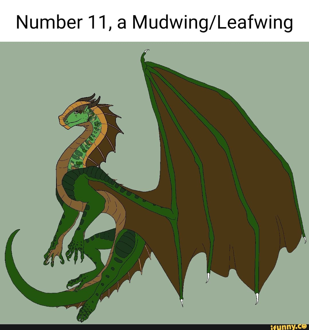 Mudwing memes. Best Collection of funny Mudwing pictures on iFunny