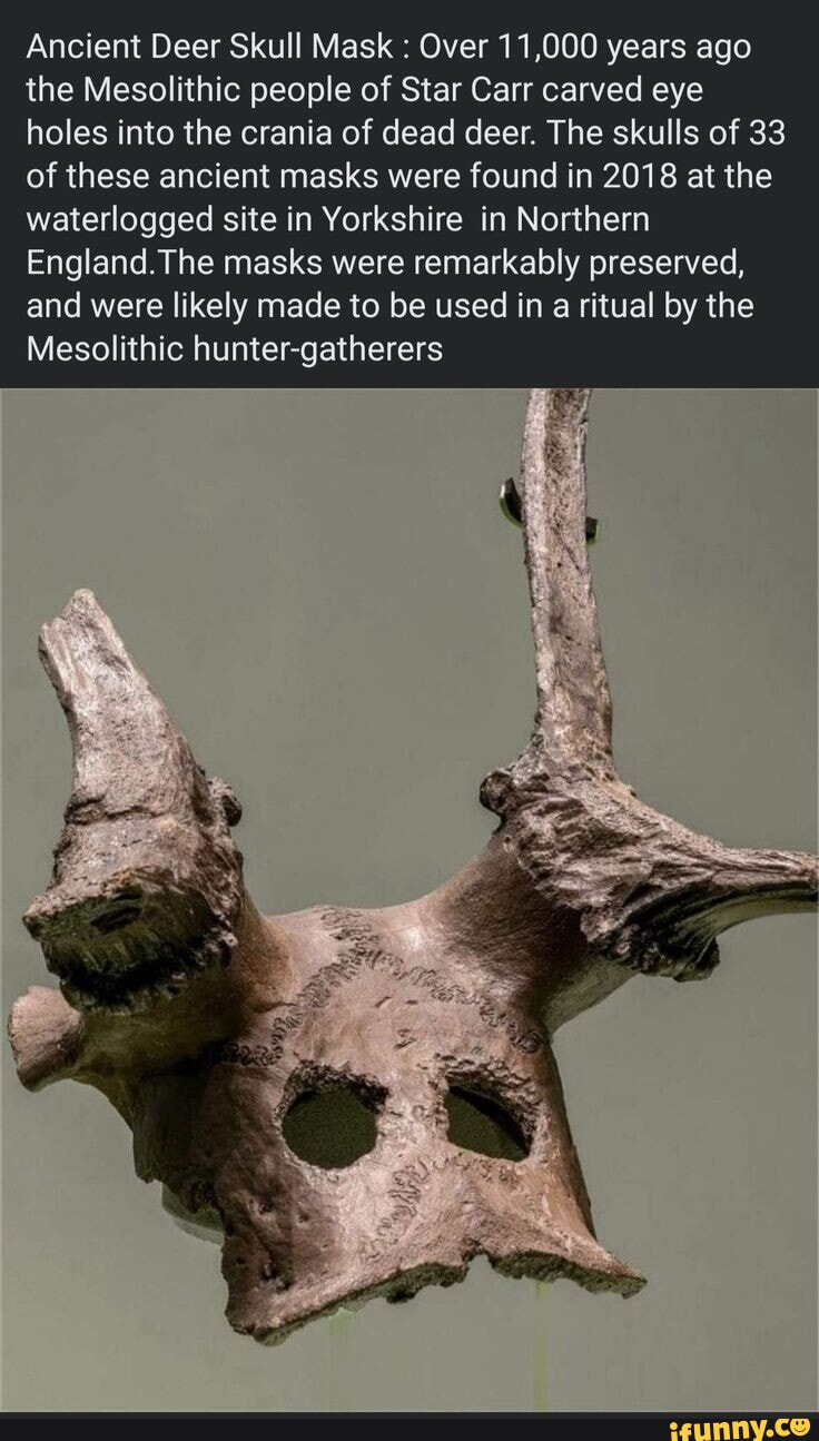 Waterlogged memes. Best Collection of funny Waterlogged pictures on iFunny